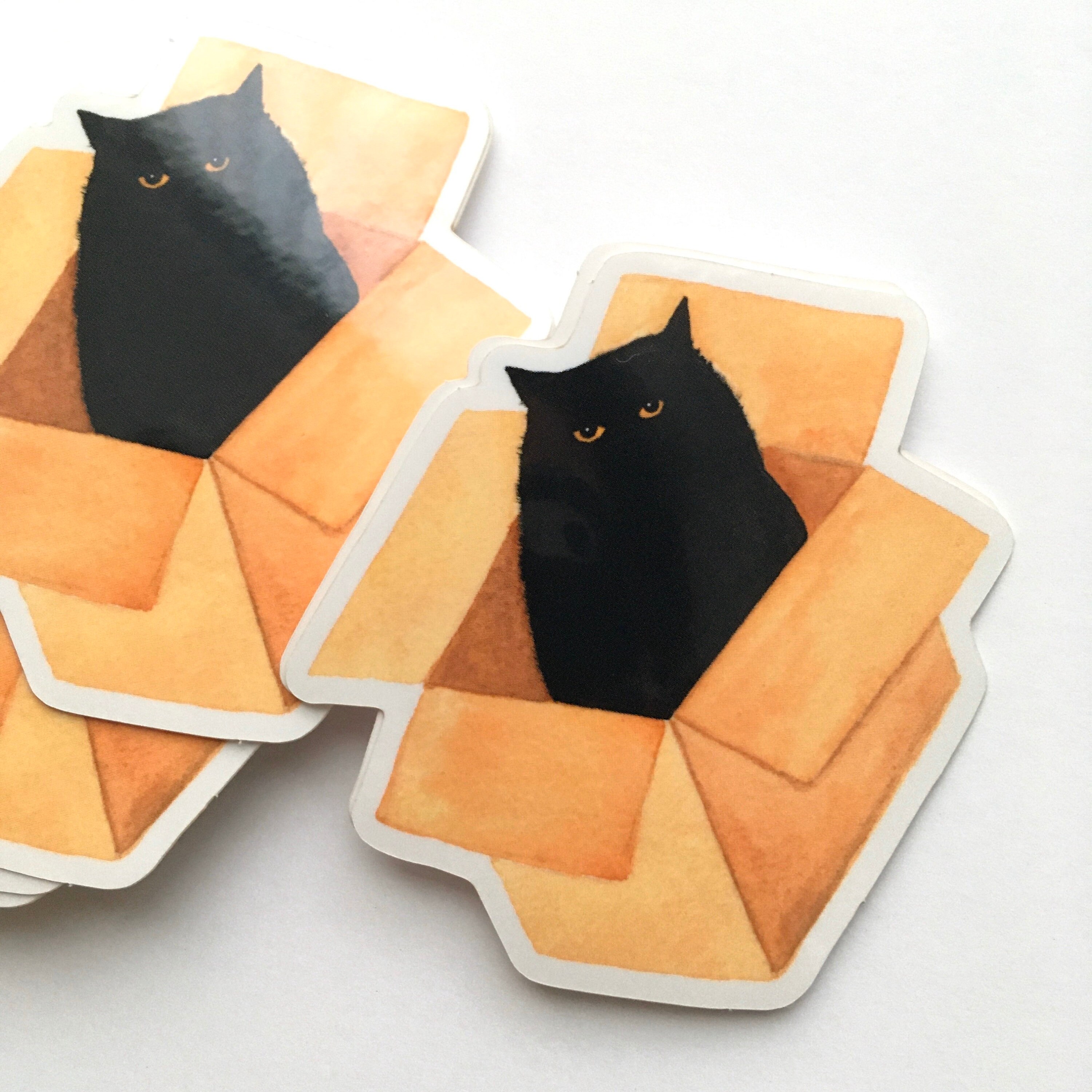 Black Cat in a Box Sticker Cat Stickers Cat Lover Cute Cat - Etsy
