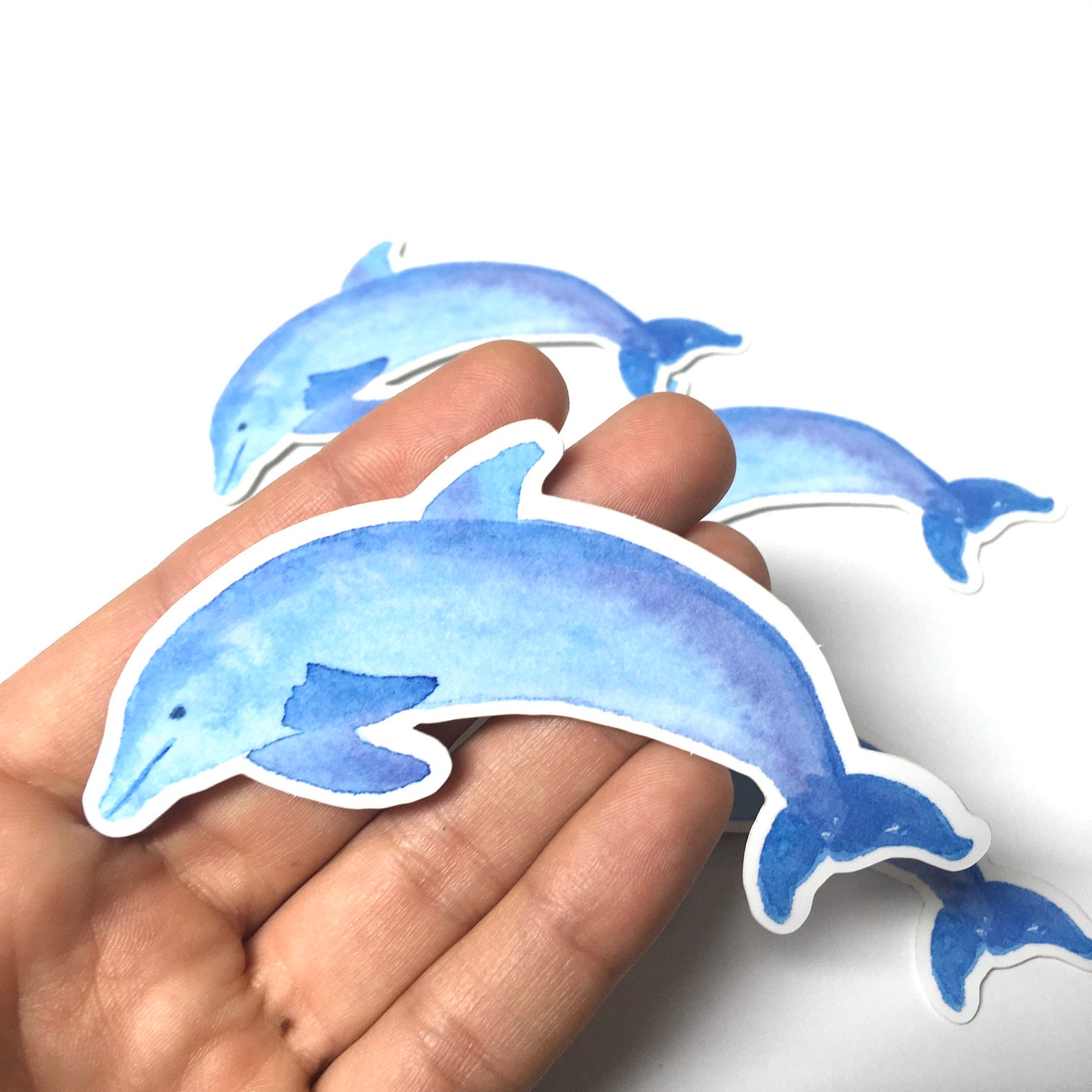 Dolphin Stickers Ocean Stickers Dolphin Lover Vinyl - Etsy