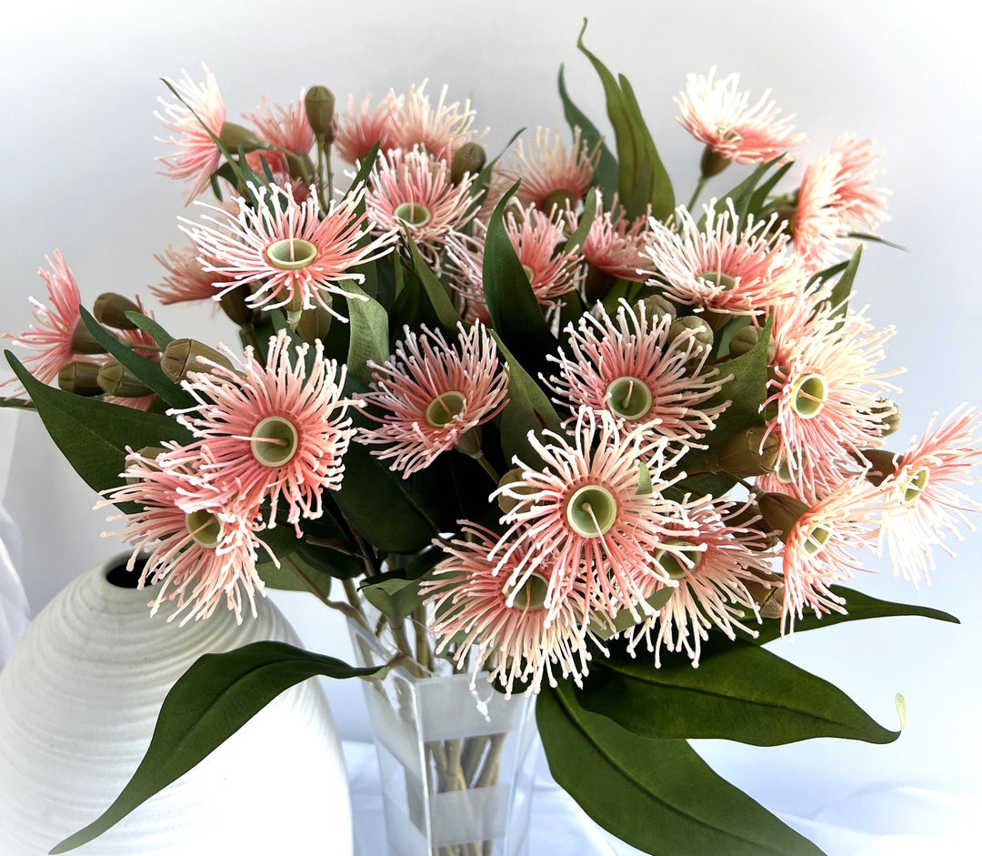 Gum Blossom Stem Australian Native Flowers Eucalyptus Gum Blossom Pink ...