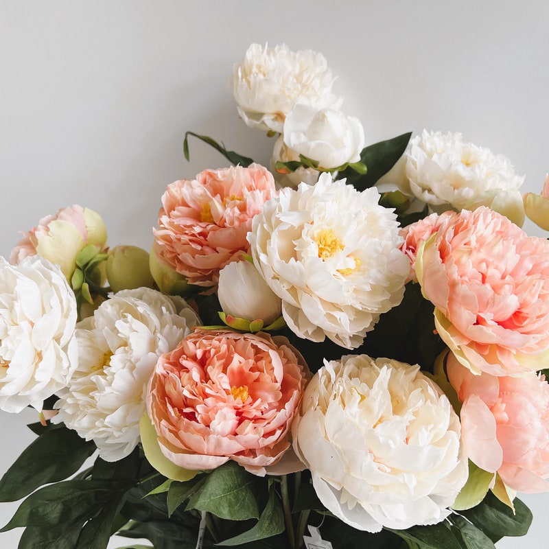 Peach Peony - Etsy