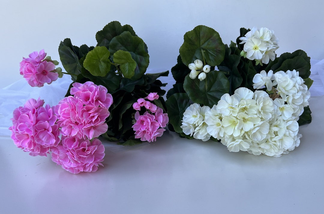 Geranium Bush Pink Geranium Cream Geraniums Artificial Plant Box ...