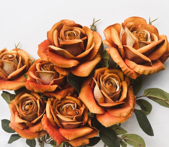 Rust Colored Roses