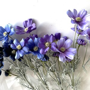 Wild Flowers Cosmos Flower Stems Faux Silk Cosmoses Navy Blue Purple ...
