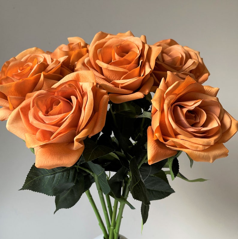 Rust Rose Stem Fresh Touch Burnt Orange Rustic Roses Real Etsy