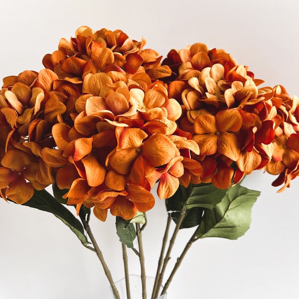 Orange Hydrangea - Etsy