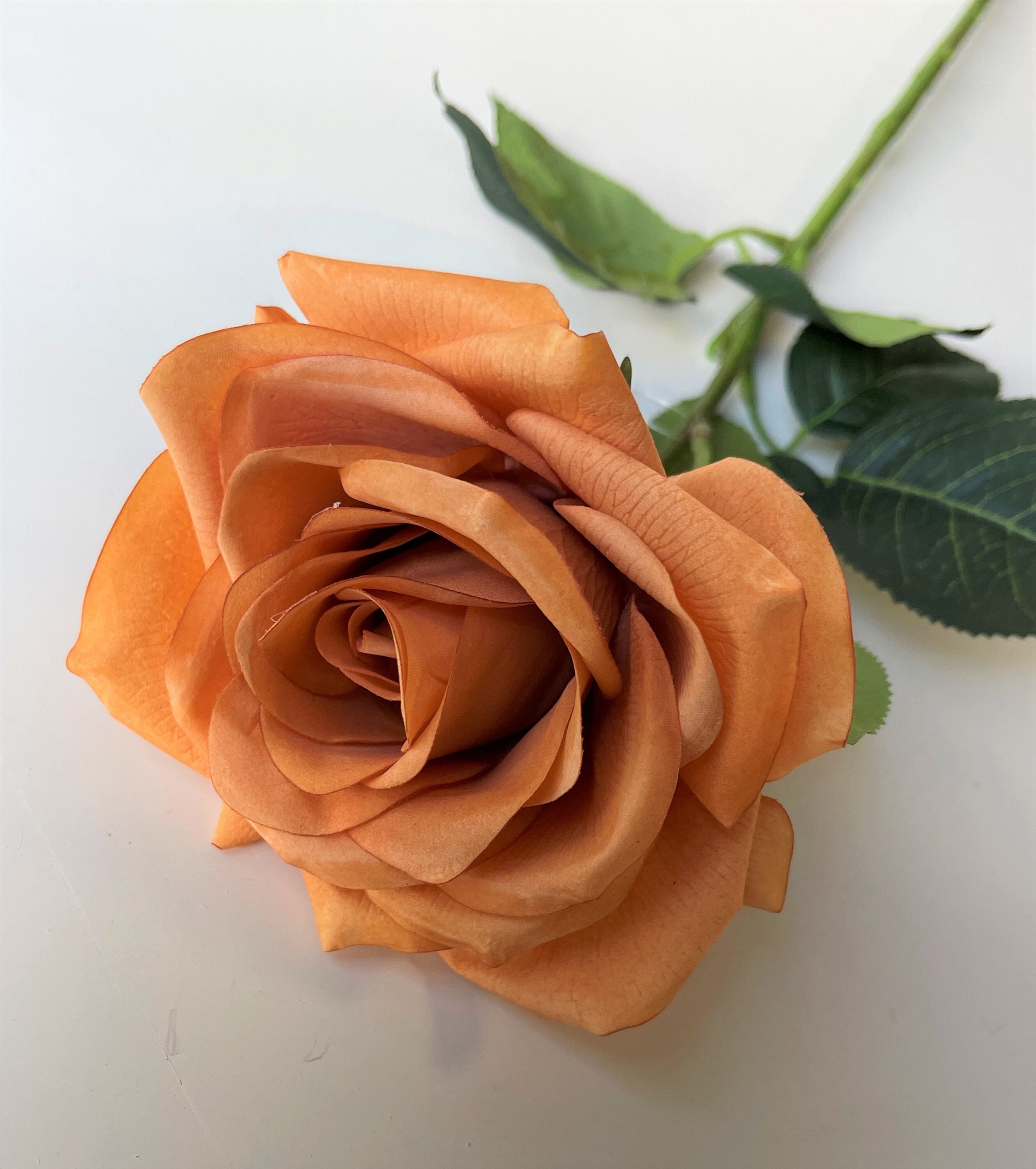 Rust Rose Stem Fresh Touch Burnt Orange Rustic Roses Real Etsy