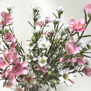 Geraldton Wax Stem Australian Native Flowers Faux Silk White Pink Wax ...