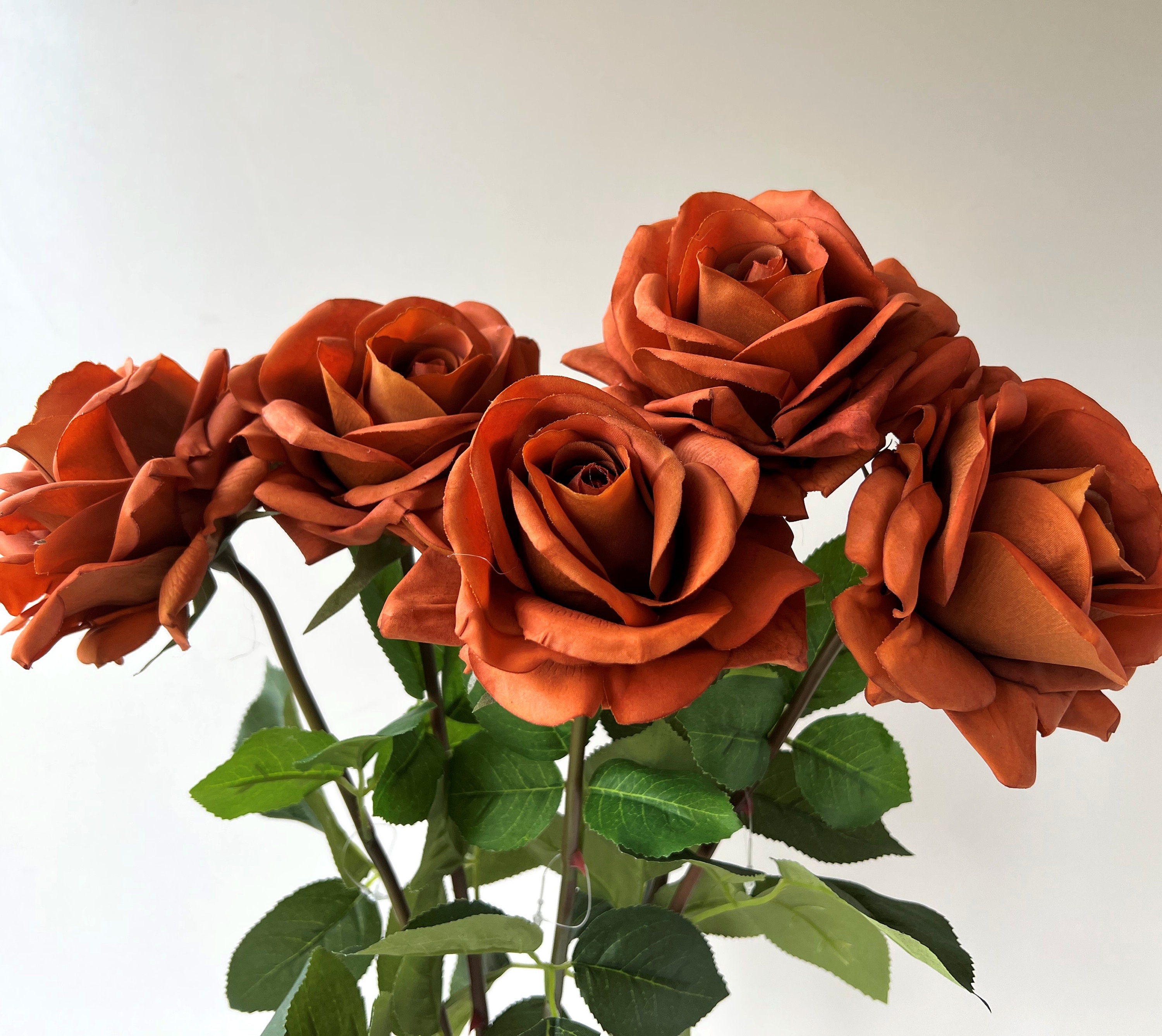 Orange Garden Roses Flowers
