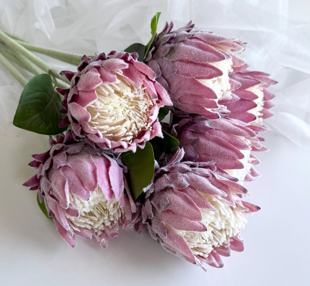 Protea Flower Stems Australian Native Flowers Pink Queen Protea Flowers ...