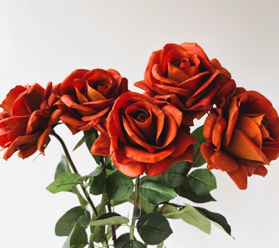 Rust Colored Roses