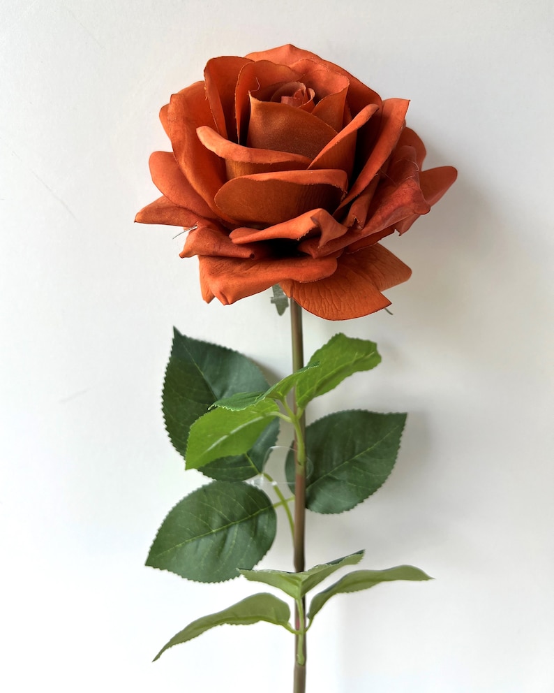 Rose Stem Fresh Touch Burnt Orange Rust Roses Real Touch - Etsy