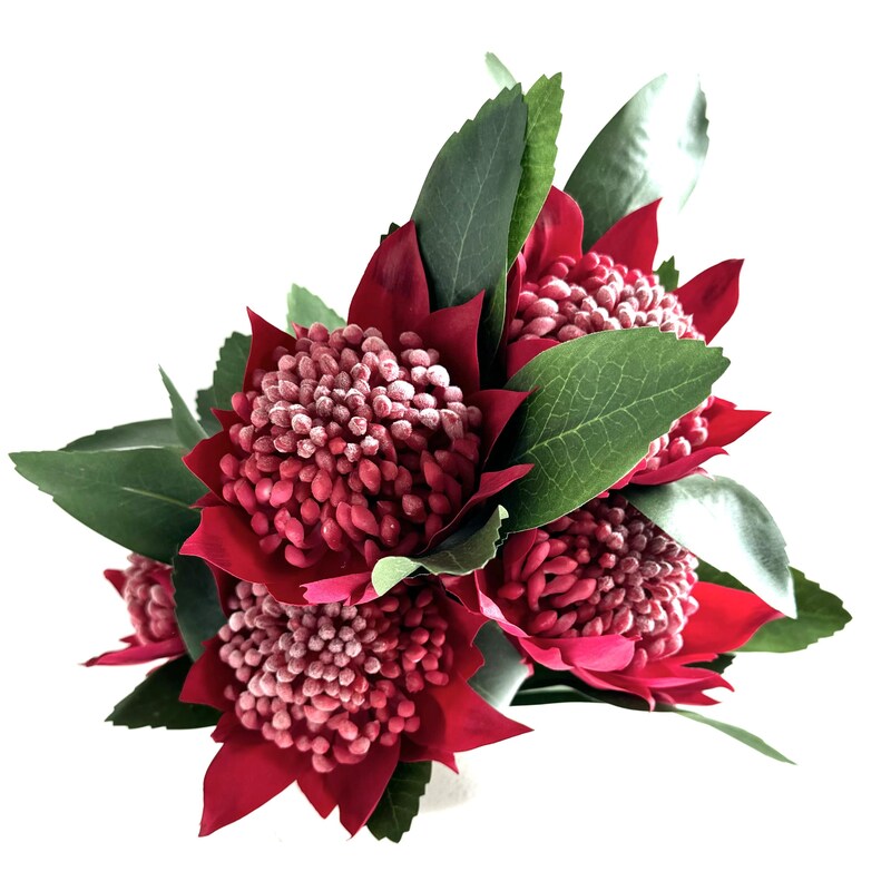 Australian Native Flowers - Etsy Australia