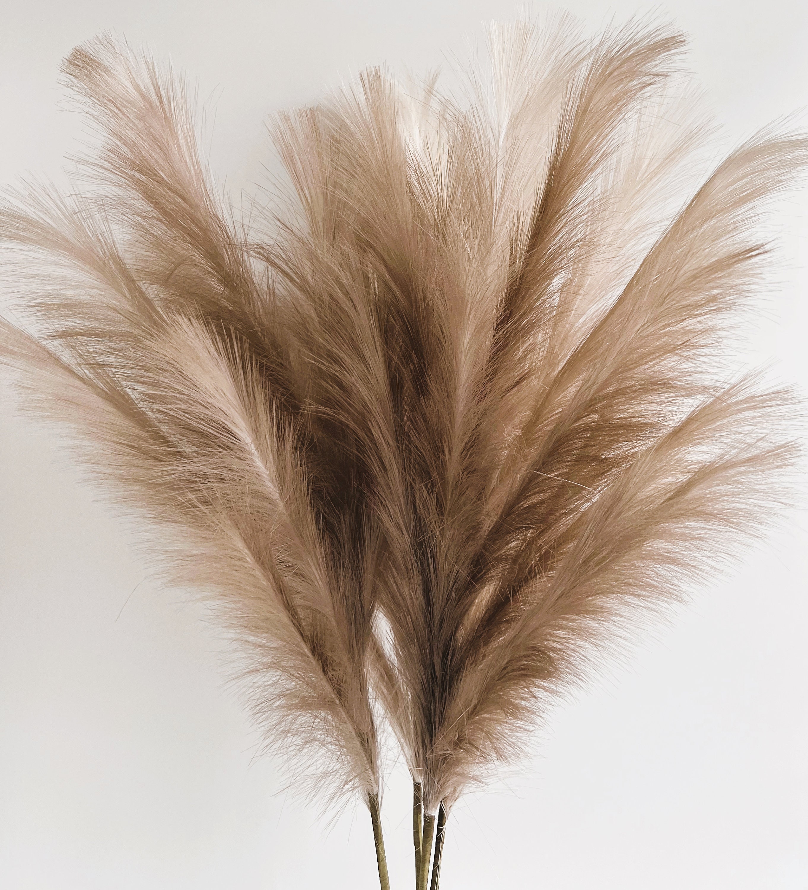 Pampas Fabric - Etsy Australia
