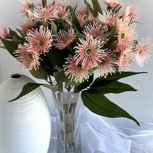 Gum Blossom Stem Australian Native Flowers Eucalyptus Gum Blossom Pink ...