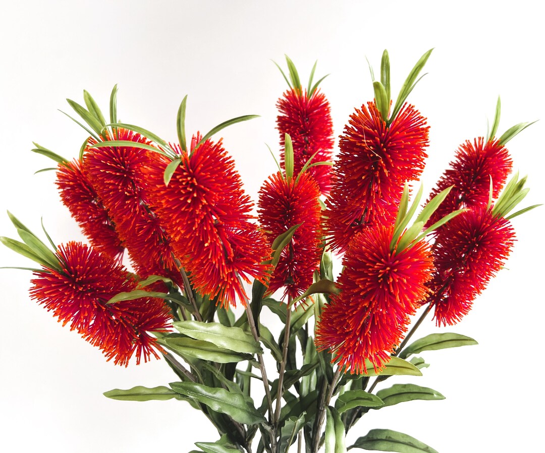 Australian Native Flowers Orange Red Bottlebrush Stem Faux Silk Flower ...
