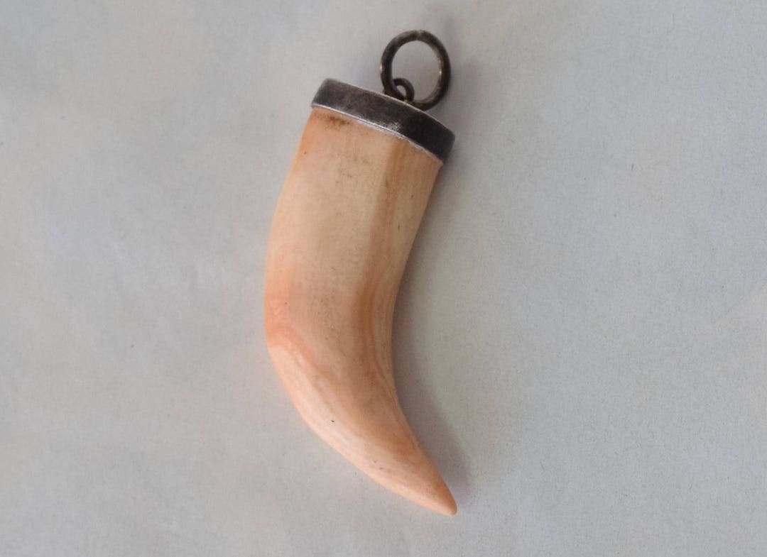 Vintage Tooth Bone, Tribal Tooth Charm, Vintage Silver Pendant, Animal ...