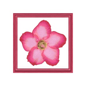 Desert Rose Cross Stitch Pattern Instant Download African - Etsy