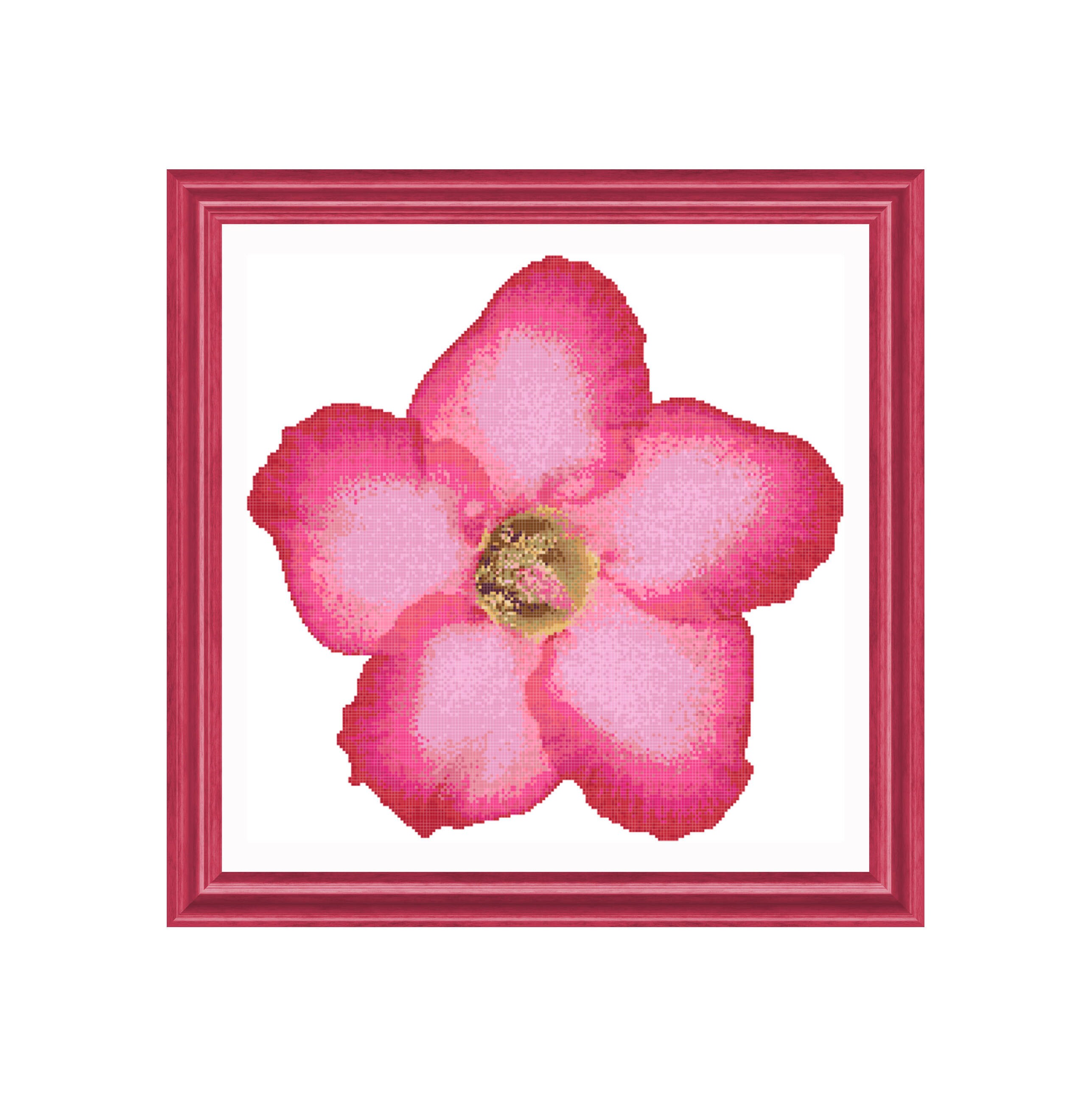 Desert Rose Cross Stitch Pattern Instant Download African | Etsy