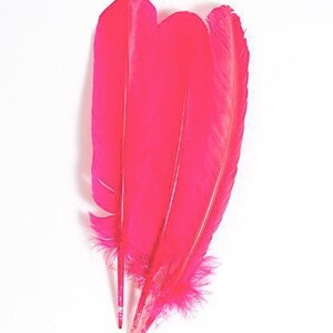 12pc, Turkey Feather Quills, 8-12 Inches, Equal Left & Rights, Turkey ...
