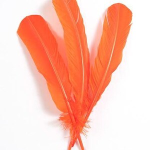 12pc, Turkey Feather Quills, 8-12 Inches, Equal Left & Rights, Turkey ...