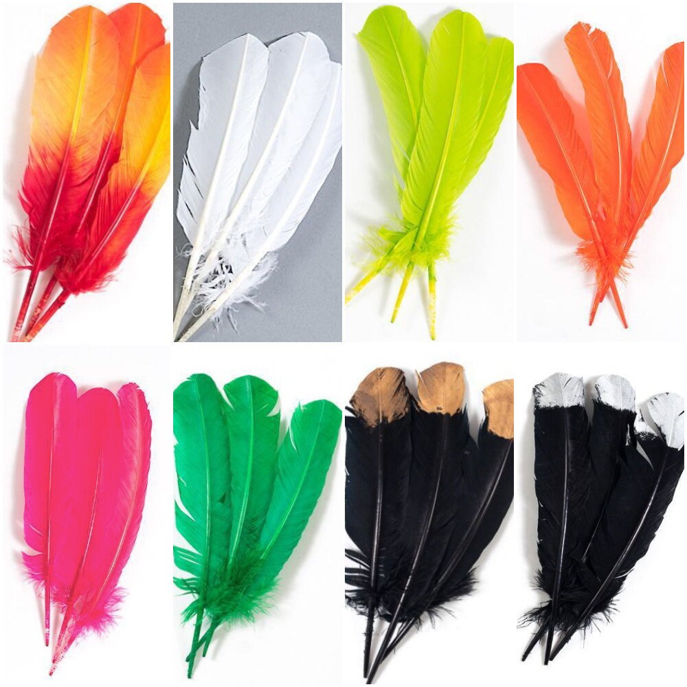 12pc, Turkey Feather Quills, 8-12 Inches, Equal Left & Rights, Turkey ...