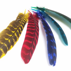 12pc, Turkey Quills, Dyed, Barred Turkey Rounds, 8-12 Long, per Pack of ...