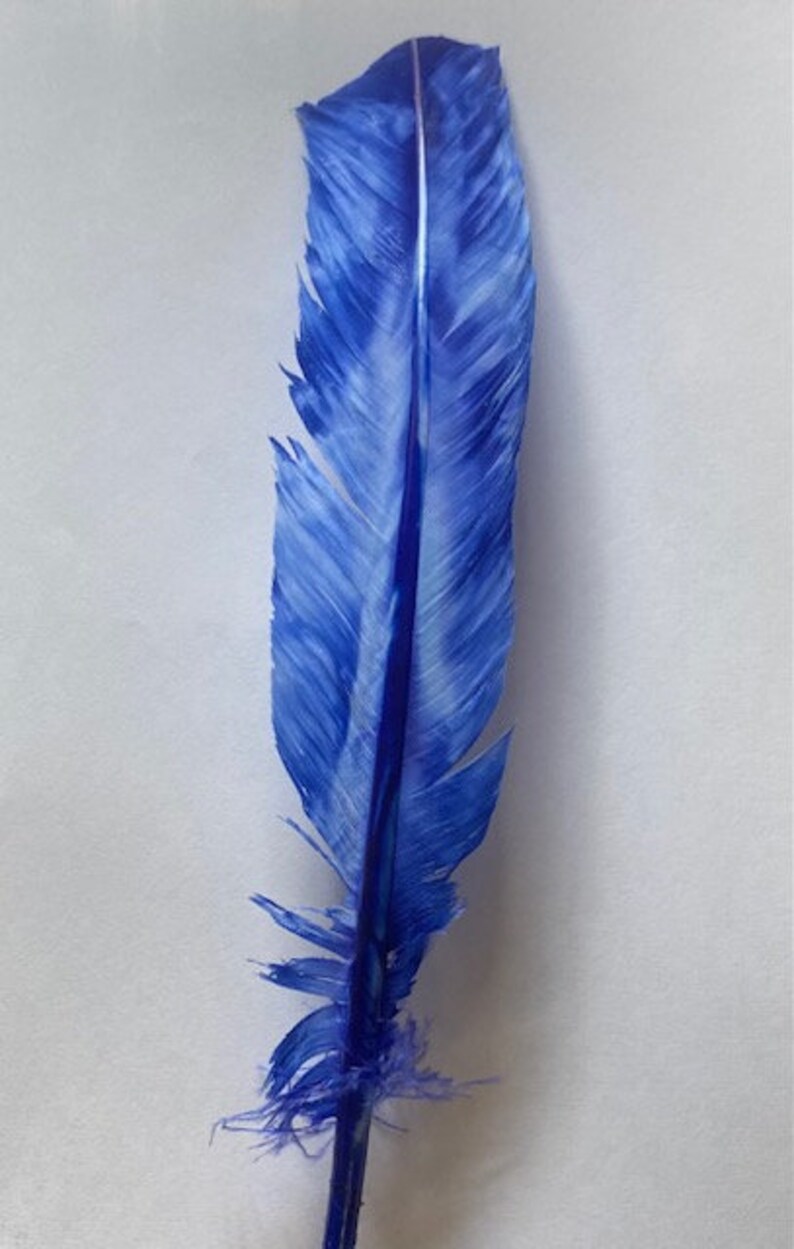 1 Pound Turkey Quills choose Your Color Turkey Rounds - Etsy