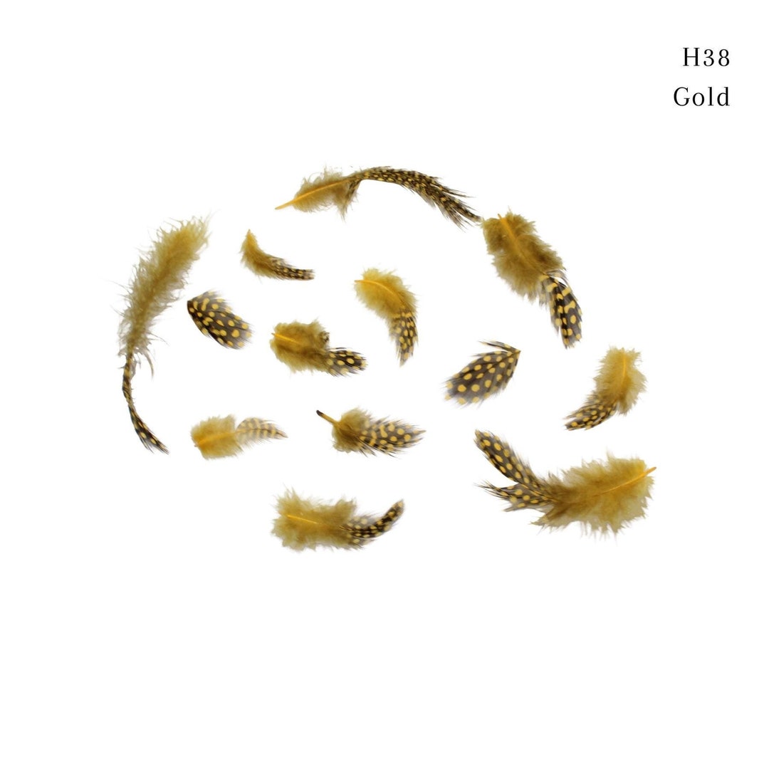 275+ Guinea Plumage Feathers, 1-4 Inch Feathers, Craft Feathers, DIY ...