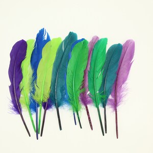 1 Pound, Turkey Quills, choose Your Color, Turkey Rounds, Quill ...