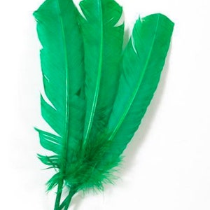 12pc, Turkey Feather Quills, 8-12 Inches, Equal Left & Rights, Turkey ...