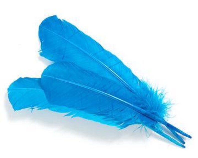 1 Pound Turkey Quills choose Your Color Turkey Rounds - Etsy
