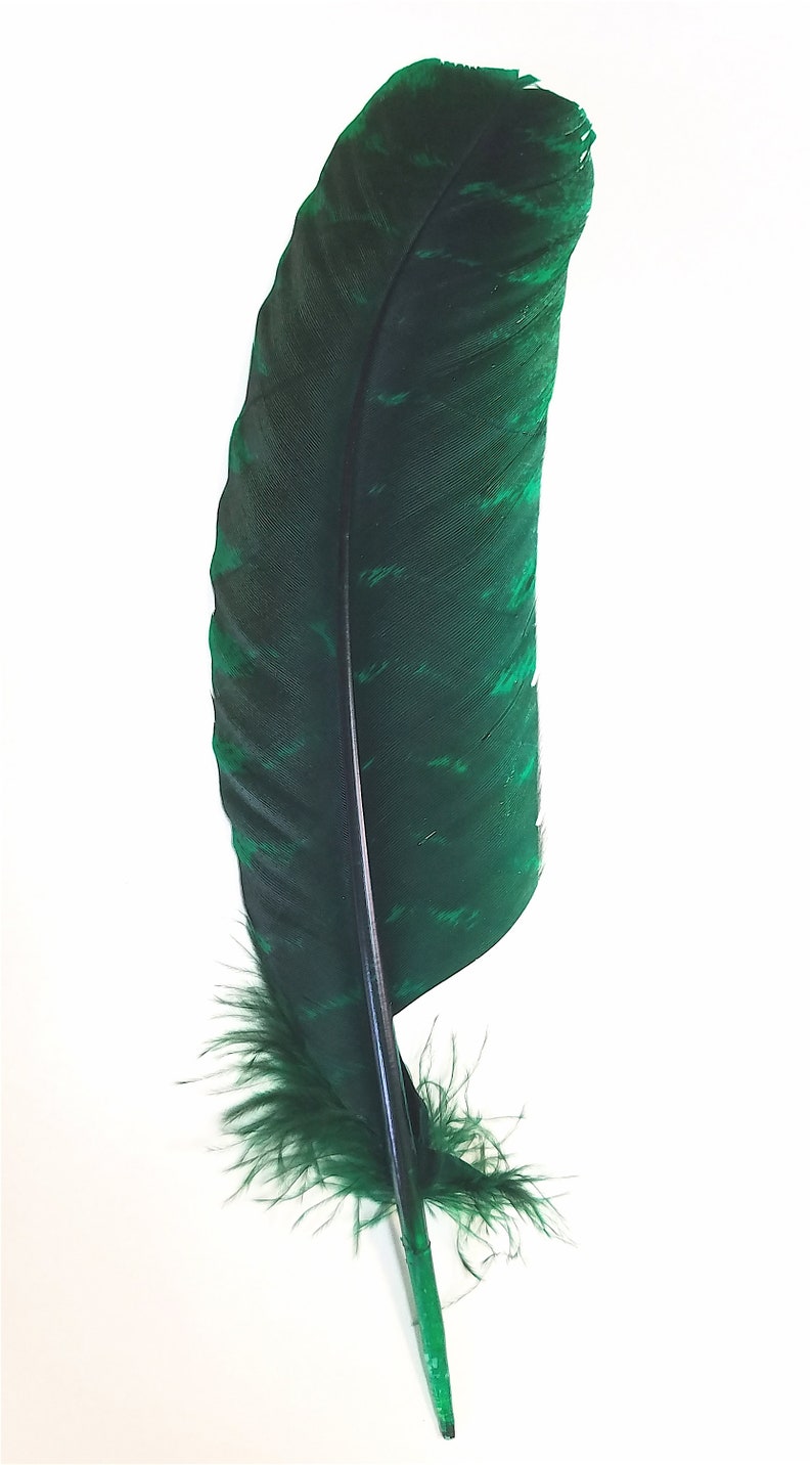 12pc, Turkey Quills, Dyed, Barred Turkey Rounds, 8-12 Long, per Pack of ...