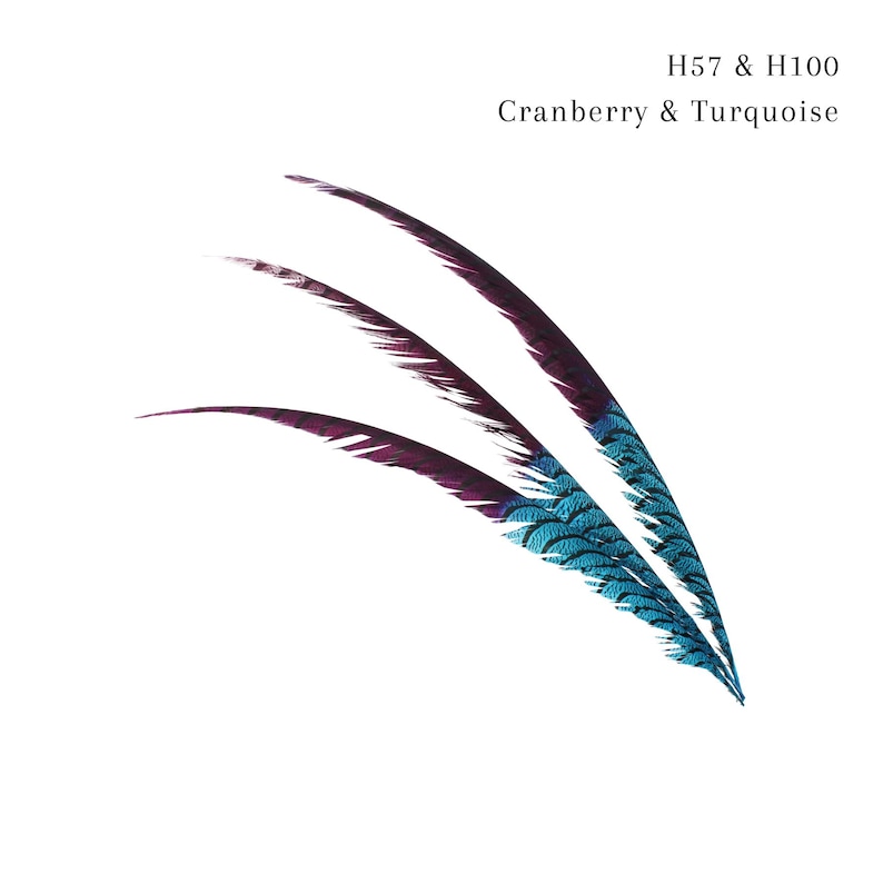 2pcs Two-tone Zebra Feathers 30+ Inch, Colorful Craft Feathers, DIY ...