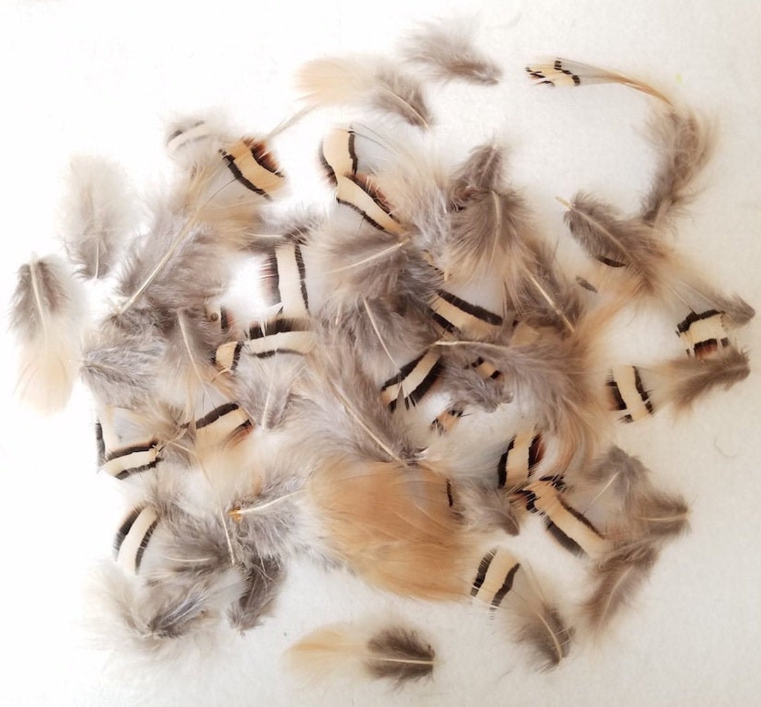 500pc Partridge Plumage Feathers Natural Chukar Feathers - Etsy
