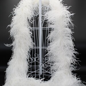 2 Ply, Ostrich Feather Boa, Soft Ostrich Boa, Luxury Feather Trim ...