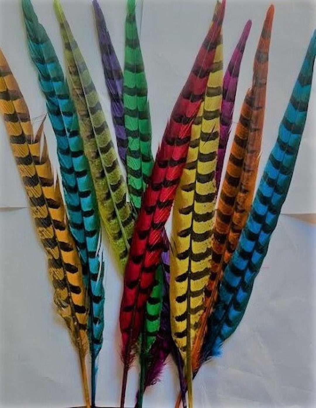 10pc, Reeves Pheasant Feathers, Dyed, 18-20 Inches Long, per Pack of 10 ...