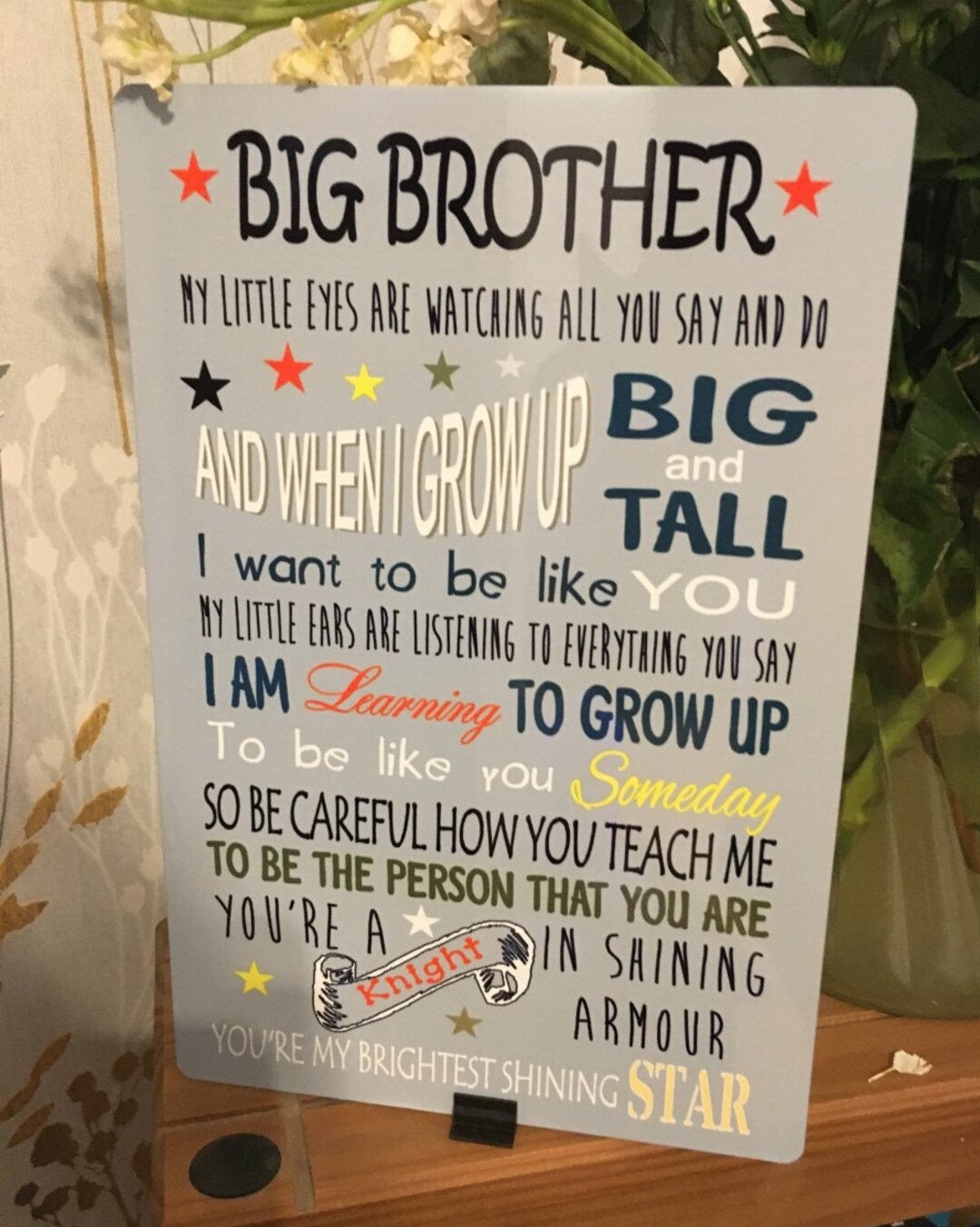 Metal Big Brother Sign Plaque When I Grow up Brother Plaque - Etsy