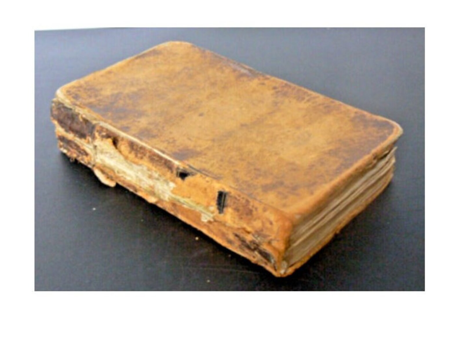 1850 Circa Psalms of David Bible Pocket Book Owner Signed - Etsy