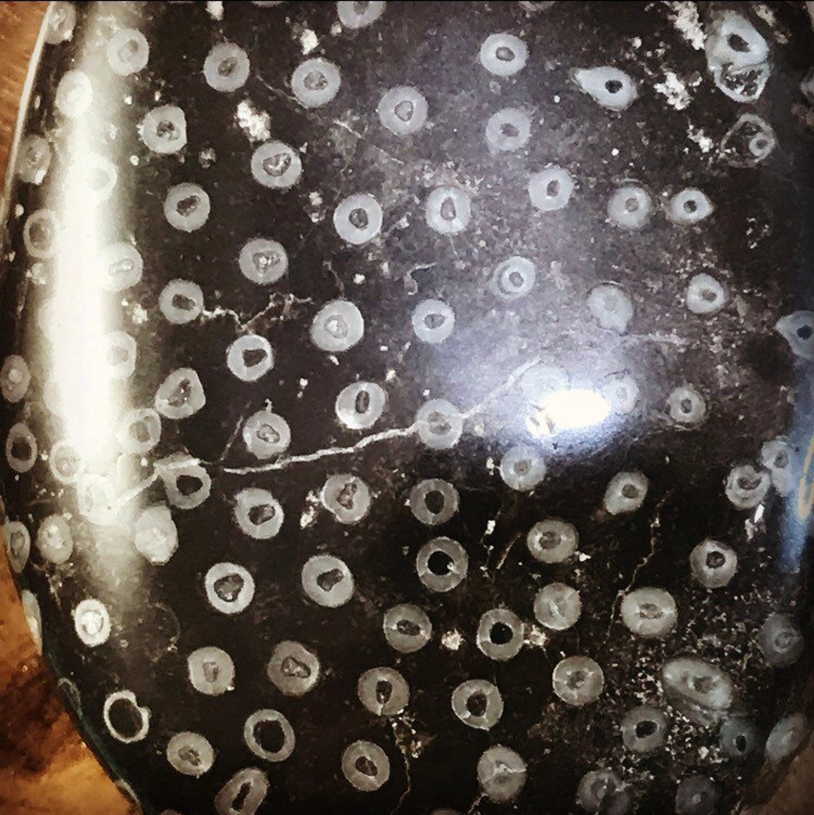 Polished Fossil Tube Worm River Rock | Etsy