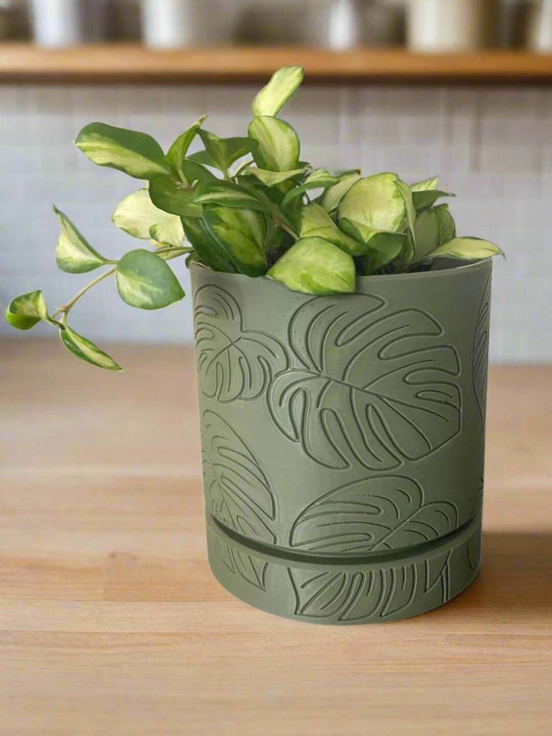 Etched Monstera Leaf Planter With Drip Tray - 3D Printed PLA - Etsy