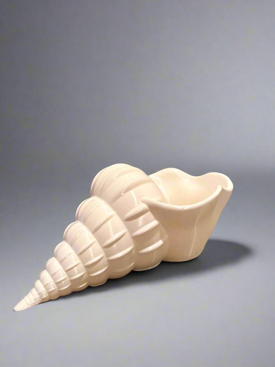 Conch Shell Planter Pot: Beach Coastal Home Decor - Etsy
