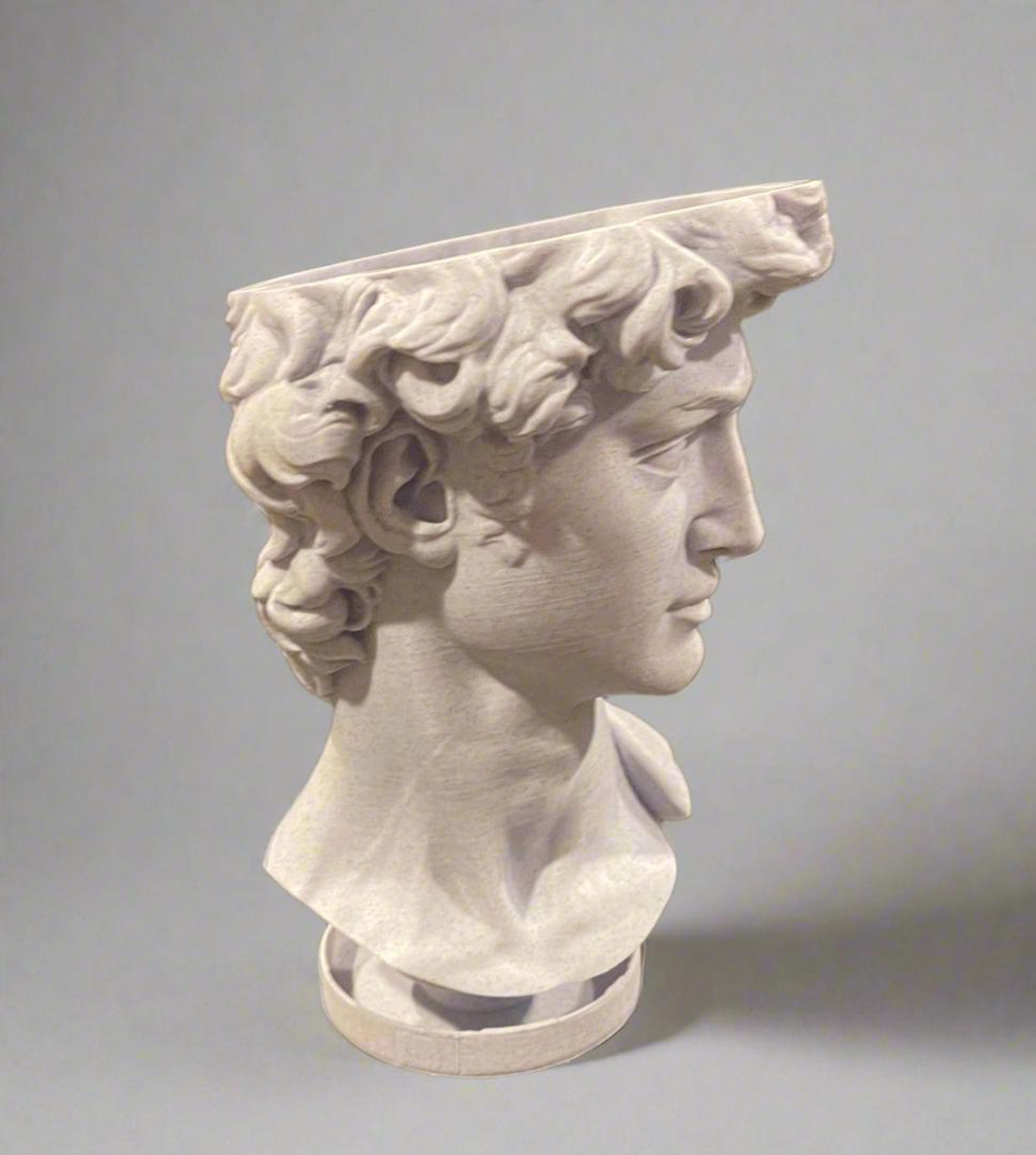 David Bust Planter With Drip Tray - Etsy