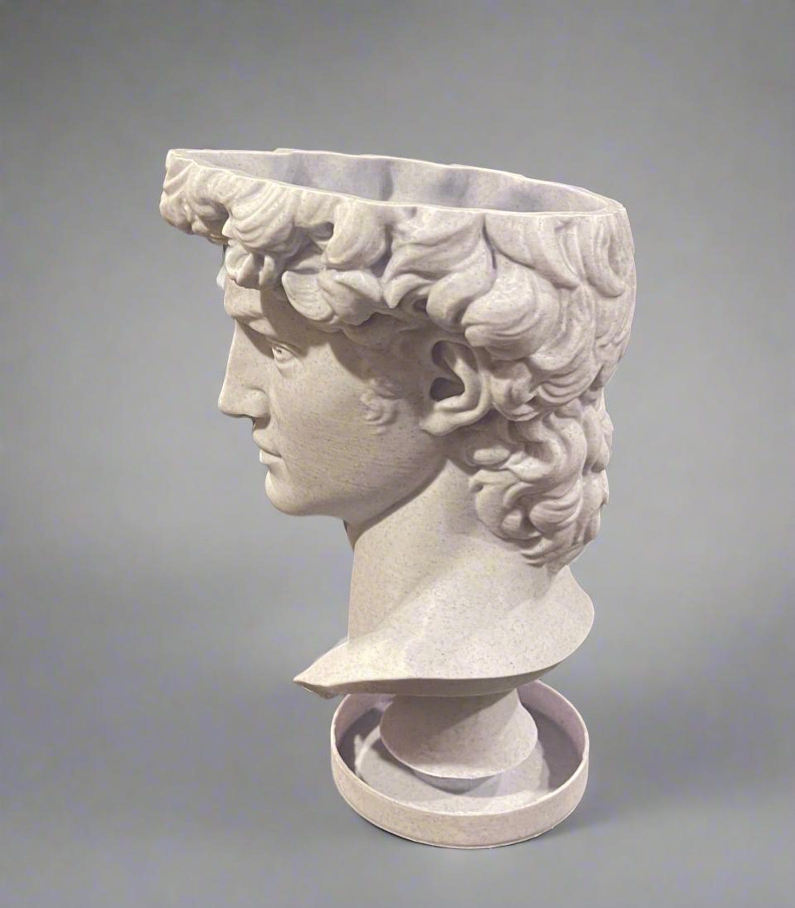 David Bust Planter With Drip Tray - Etsy