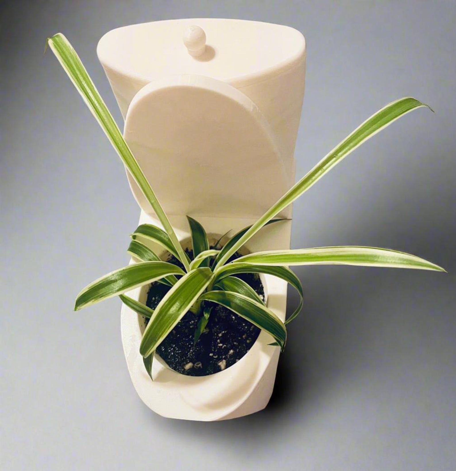 The Flush & Flourish Planter Pot - Etsy