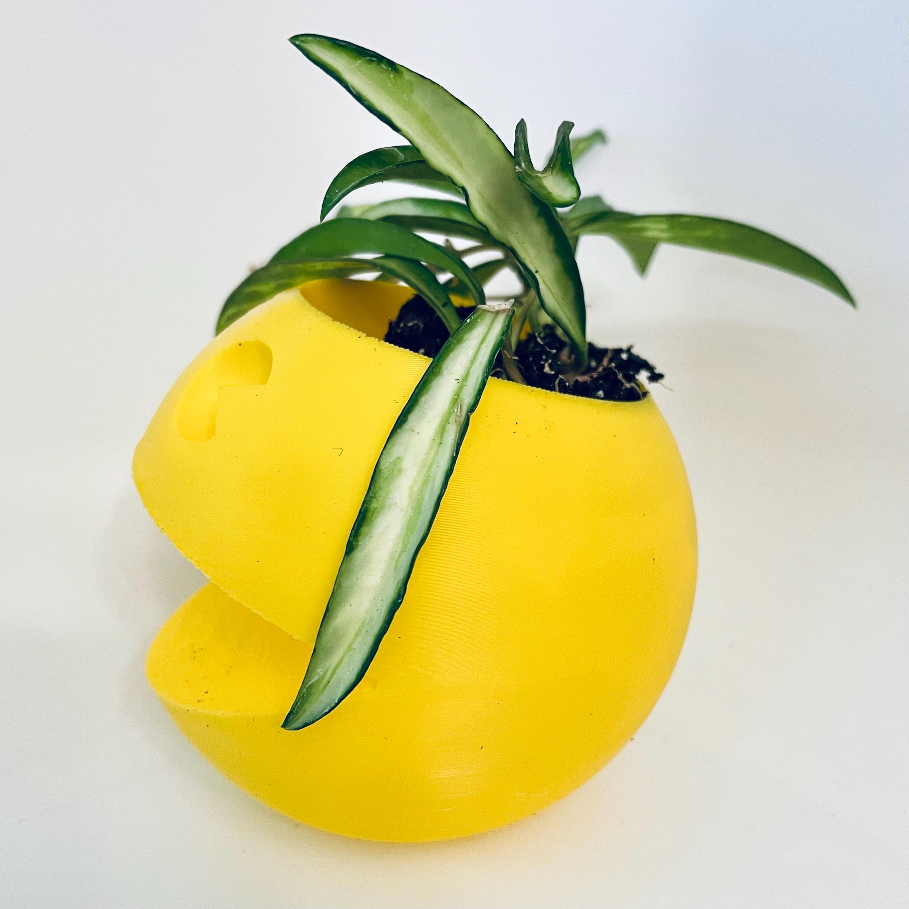 Pac-man Planter: 3D Printed Retro Arcade Decor - Etsy