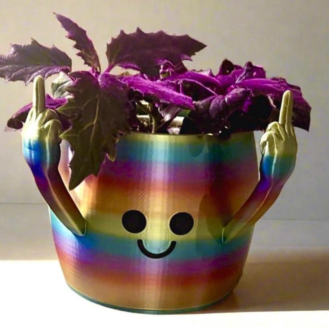Rebel Smiley Face Planter Pot - Etsy