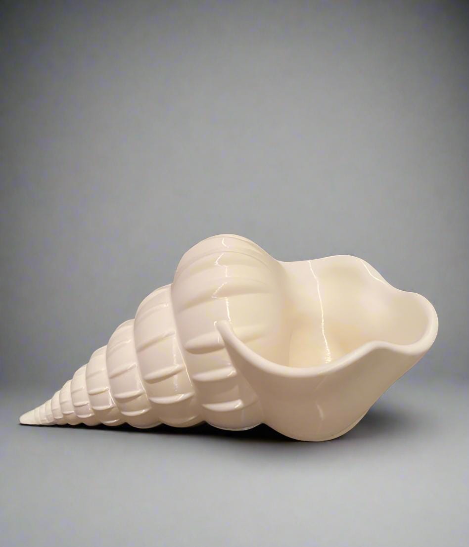 Conch Shell Planter Pot: Beach Coastal Home Decor - Etsy