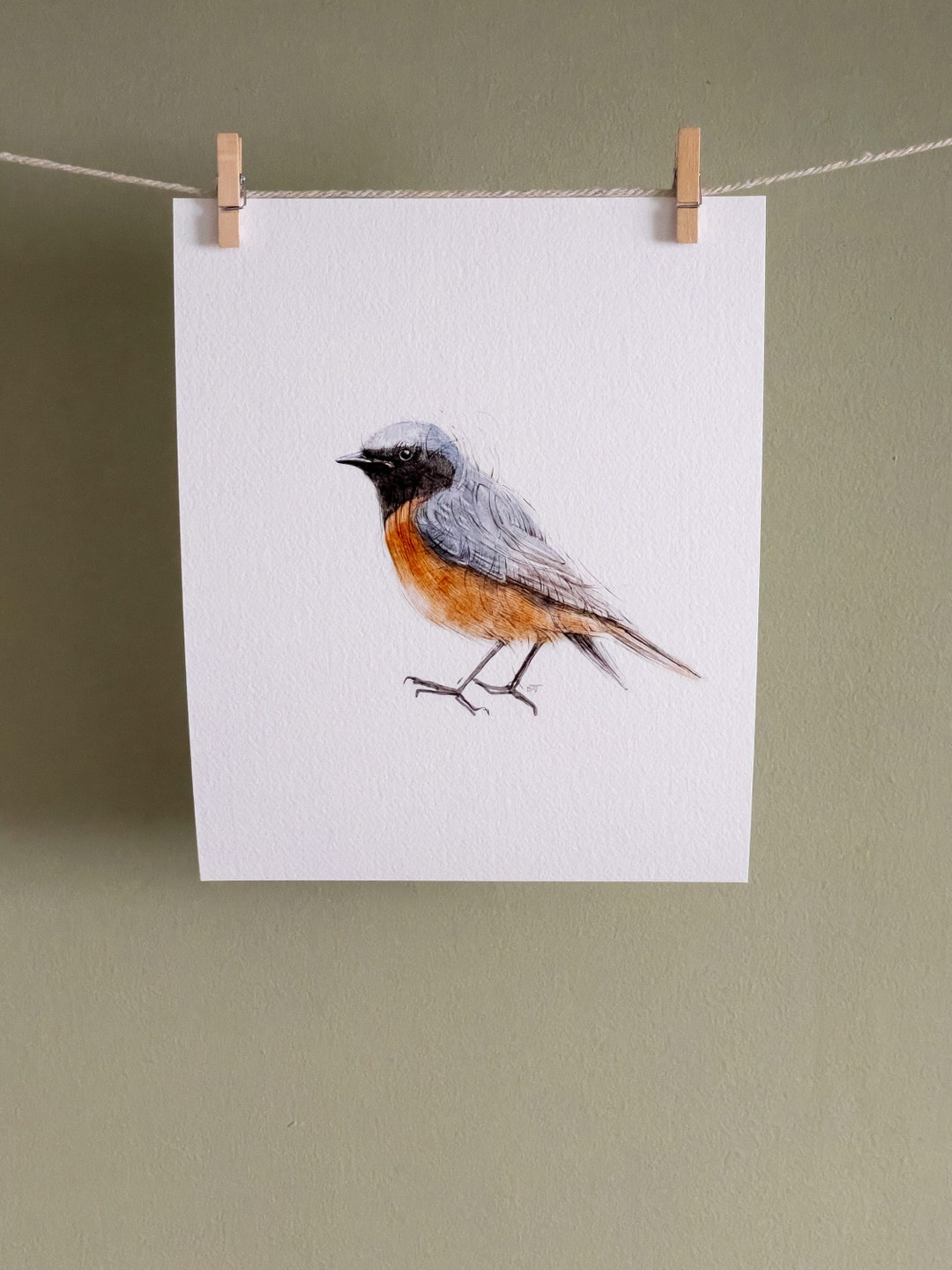 Common Redstart Bird Print digital Illustration Art - Etsy