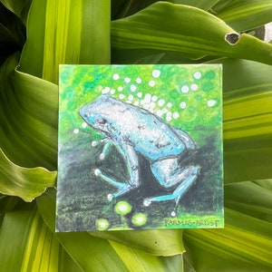 Assorted Colored Pencil Frog Drawings - Etsy