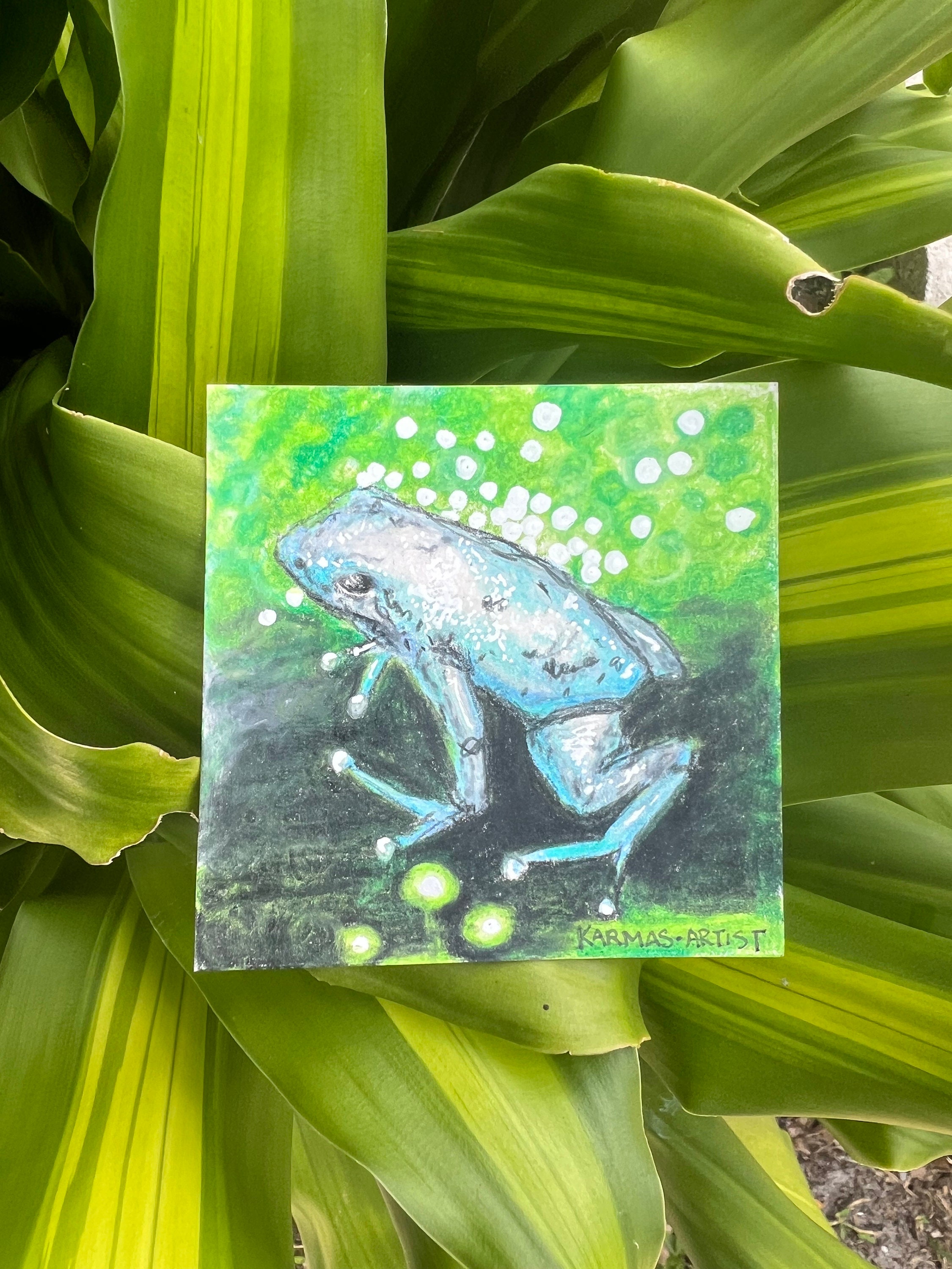 Assorted Colored Pencil Frog Drawings - Etsy